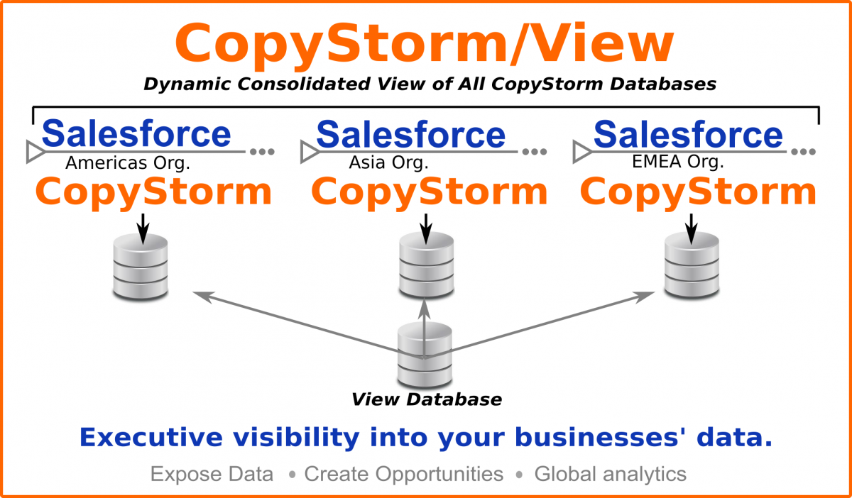 CopyStorm/View - Capstorm Learning Center